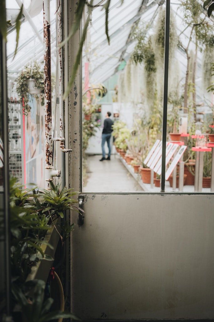 The Best Outdoor Succulents| Learn About Outdoor Succulents