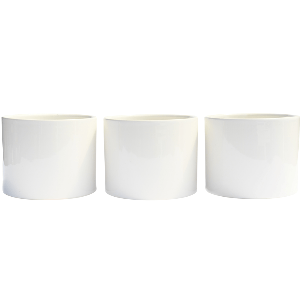 White Pot 4 Inch (Set of 3)